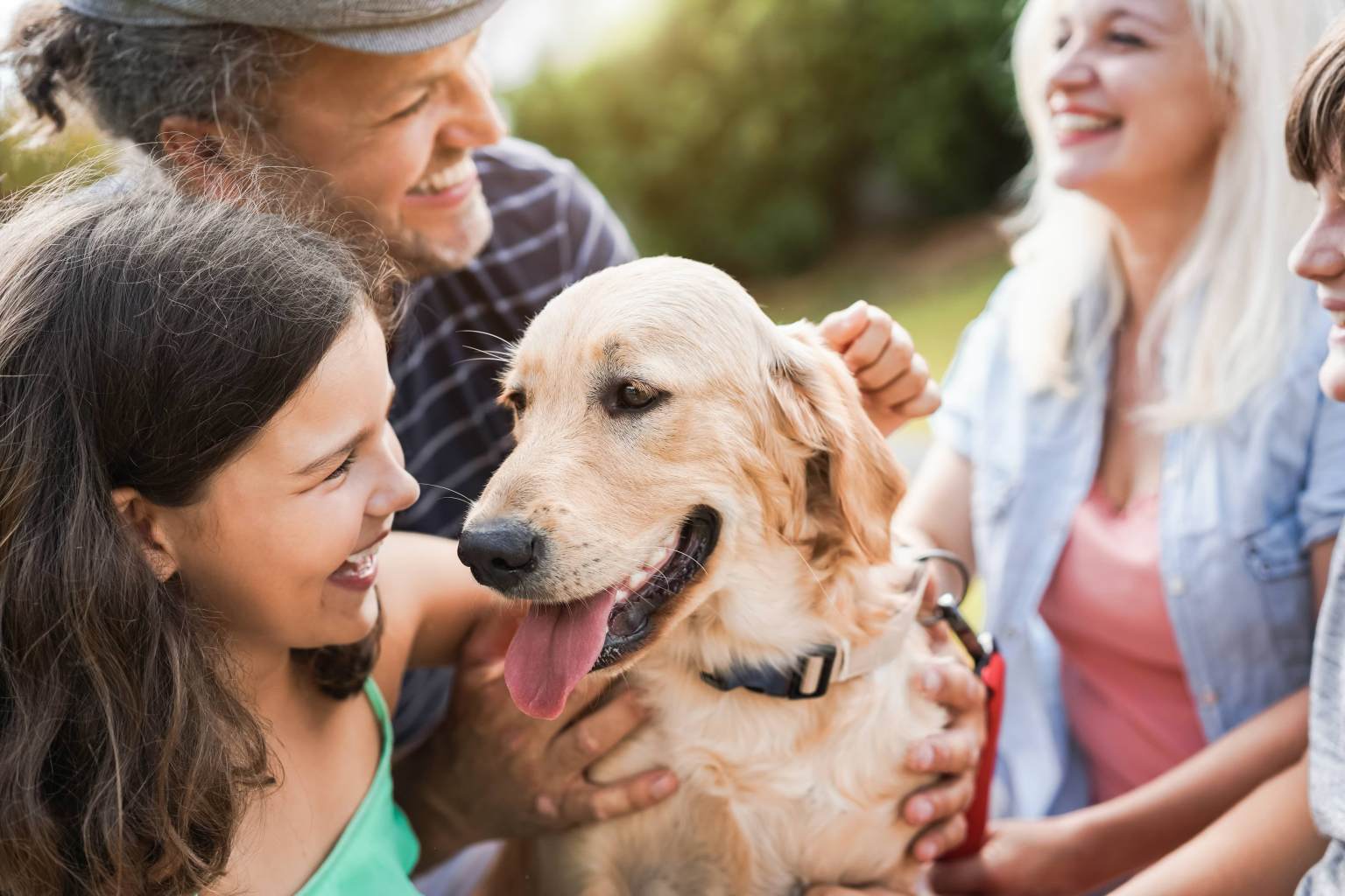 Vaccinations & Preventative Care – Animal Ally Mobile Veterinary Care